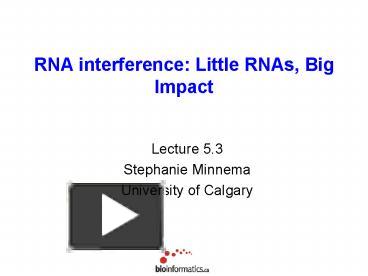 PPT – RNA interference: Little RNAs, Big Impact PowerPoint presentation ...