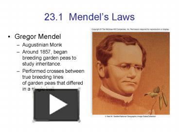 PPT – 23'1 Mendels Laws PowerPoint presentation | free to view - id ...