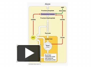 The Alternative Oxidase presentation | free to view