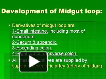 Development of Midgut loop: presentation | free to view