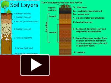 Soil Animation presentation | free to download