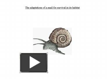 The adaptations of a snail for survival in its habitat presentation ...