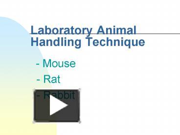 Laboratory Animal Handling Technique presentation | free to view
