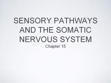 SENSORY PATHWAYS AND THE SOMATIC NERVOUS SYSTEM presentation | free to view