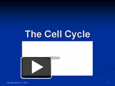 PPT – The Cell Cycle PowerPoint presentation | free to download - id ...