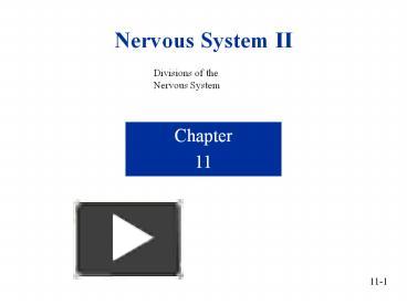 PPT – Nervous%20System%20II PowerPoint presentation | free to download ...