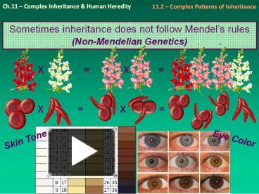 PPT – Ch.11 PowerPoint presentation | free to view - id: 75dd55-NmE5Z