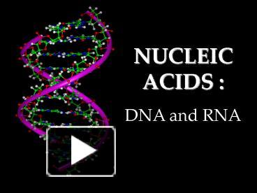 NUCLEIC ACIDS : presentation | free to view