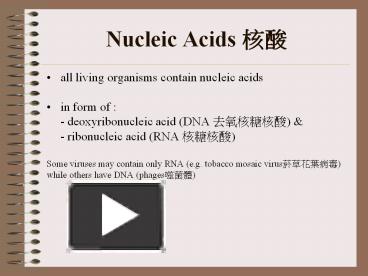 PPT – Nucleic Acids ?? PowerPoint presentation | free to view - id ...