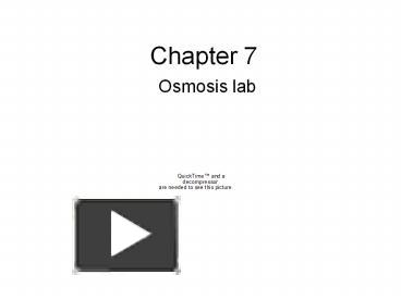 PPT – Osmosis lab PowerPoint presentation | free to download - id ...