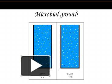 PPT – Microbial growth PowerPoint presentation | free to download - id ...