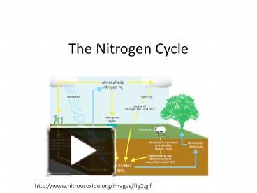 The Nitrogen Cycle presentation | free to view
