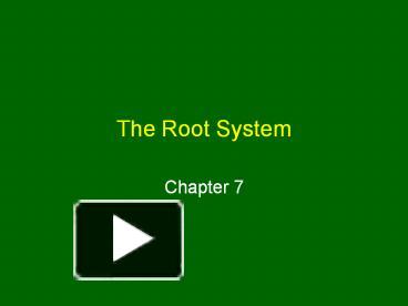 The Root System presentation | free to download