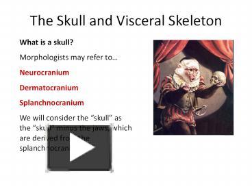 PPT – The Skull and Visceral Skeleton PowerPoint presentation | free to ...