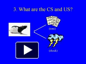 3. What are the CS and US? presentation | free to download