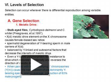 VI. Levels of Selection presentation | free to download