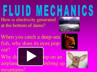PPT – FLUID MECHANICS PowerPoint presentation | free to download - id ...