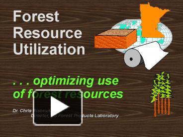 PPT – Forest PowerPoint presentation | free to view - id: 766e9-M2U4N