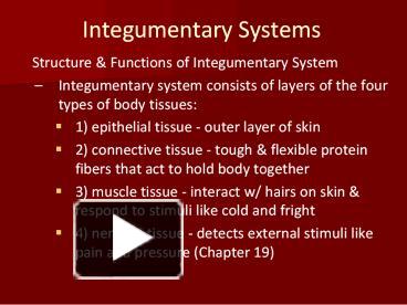 Integumentary Systems presentation | free to download