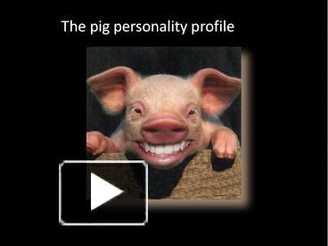 PPT – The Pig Personality Profile PowerPoint presentation | free to ...