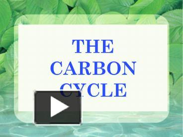 PPT – THE CARBON CYCLE PowerPoint presentation | free to download - id ...