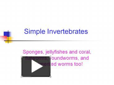 PPT – Simple Invertebrates PowerPoint presentation | free to view - id ...