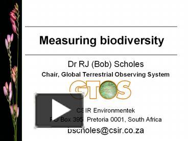 Measuring biodiversity presentation | free to download