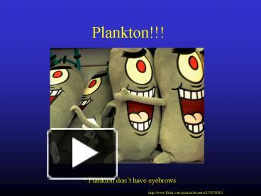 PPT – Plankton!!! PowerPoint presentation | free to view - id: 76b32d-M2JkN