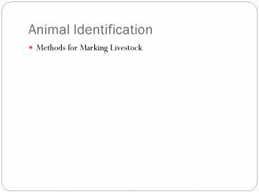 PPT – Animal Identification PowerPoint presentation | free to download ...