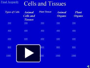 PPT – Cells and Tissues PowerPoint presentation | free to view - id ...