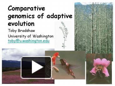 Comparative genomics of adaptive evolution presentation | free to download