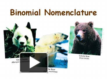 Binomial Nomenclature presentation | free to download