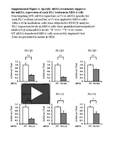 PPT – Arbitrary Unit PowerPoint presentation | free to download - id ...