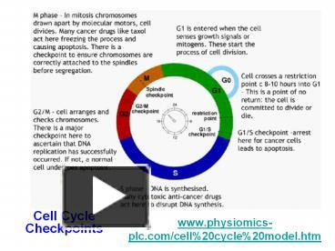 PPT – www.physiomics-plc.com/cell cycle model.htm PowerPoint ...