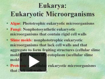 PPT – Eukarya: Eukaryotic Microorganisms PowerPoint presentation | free ...
