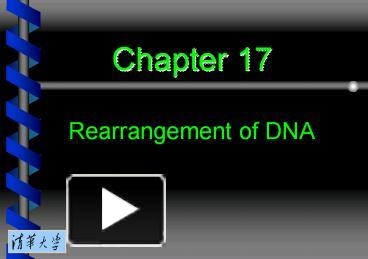 PPT – Rearrangement%20of%20DNA PowerPoint presentation | free to ...