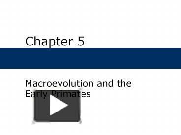 PPT – Macroevolution%20and%20the%20Early%20Primates PowerPoint ...