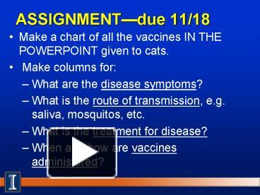 PPT – ASSIGNMENT PowerPoint presentation | free to download - id ...