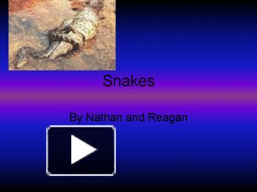 Snakes presentation | free to view