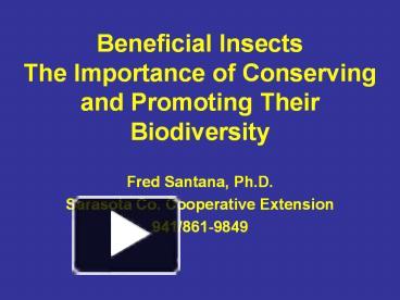 Beneficial Insects The Importance of Conserving and Promoting Their ...