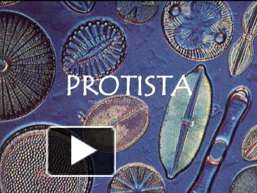 PROTISTA presentation | free to view