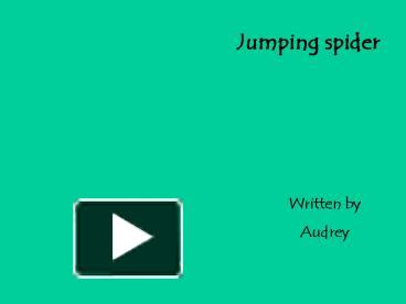 PPT – Jumping spider PowerPoint presentation | free to view - id: 77524 ...