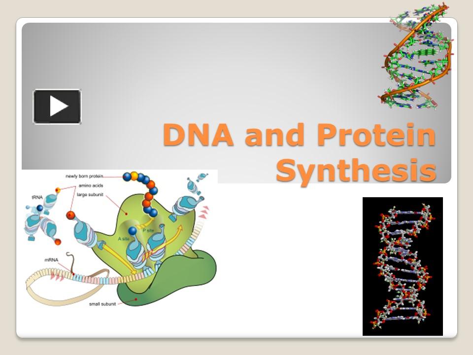 DNA and Protein Synthesis presentation | free to download