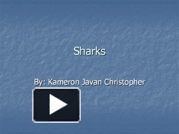PPT – Sharks PowerPoint presentation | free to view - id: 779208-NGMxM