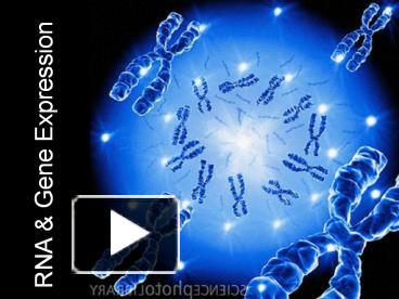 PPT – RNA PowerPoint presentation | free to download - id: 77932c-NDZjZ