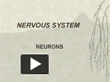 PPT – NERVOUS SYSTEM PowerPoint presentation | free to view - id: 7798d ...
