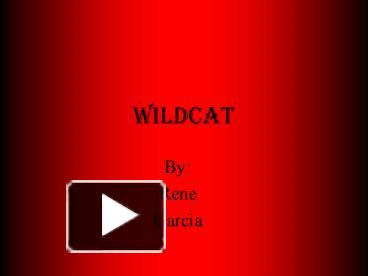 PPT – Wildcat PowerPoint presentation | free to view - id: 77a1a-NzBmY