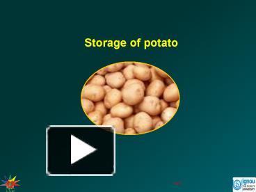 Storage of potato presentation | free to view