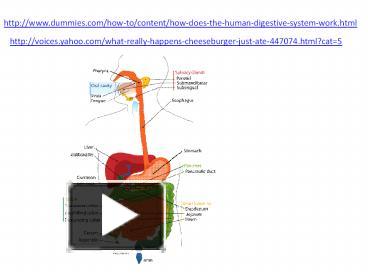 PPT – http://www.dummies.com/how-to/content/how-does-the-human ...