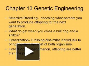 Chapter 13 Genetic Engineering presentation | free to view